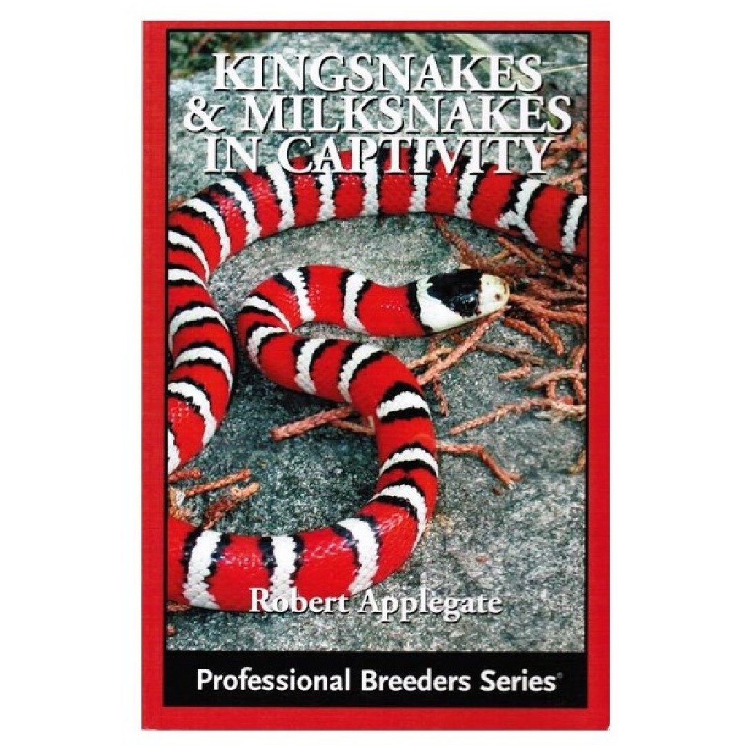 Kingsnakes & Milksnakes in Captivity