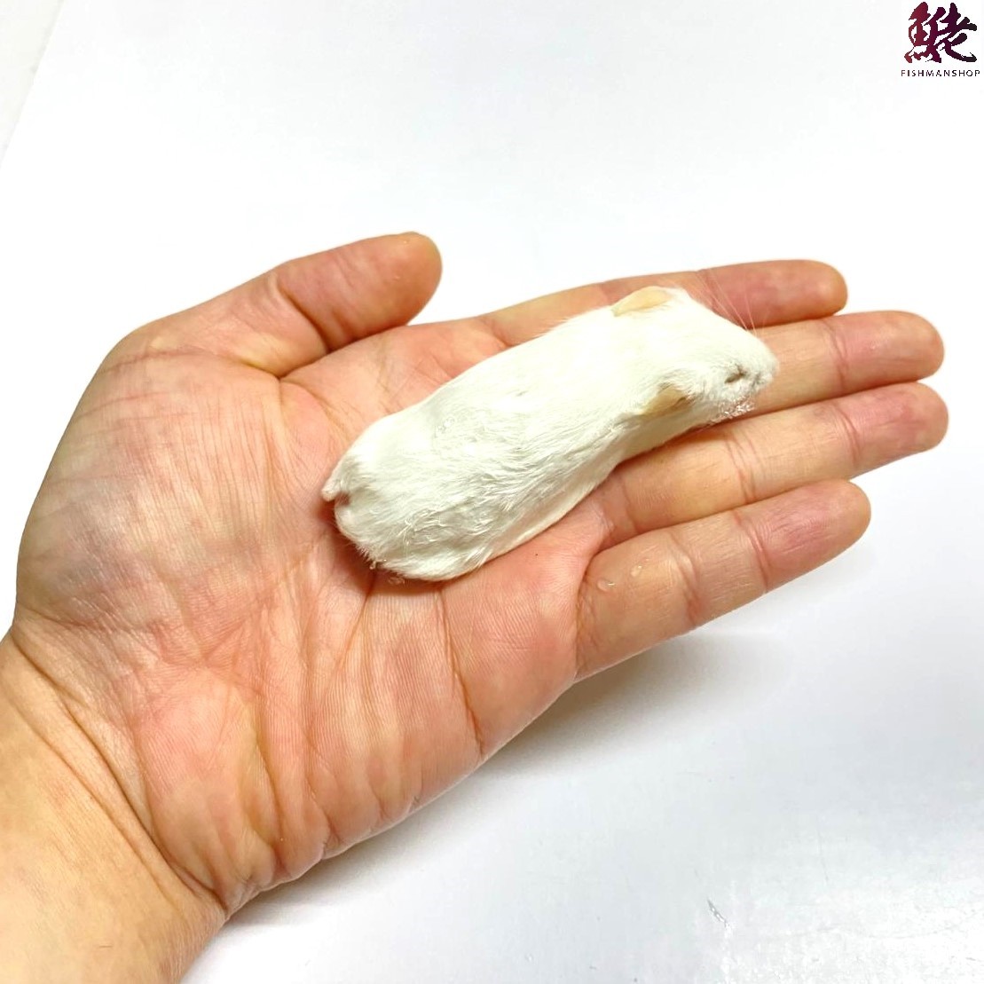 雪鼠小白 Adult 20g Frozen Mouse Adult approx. 20g
